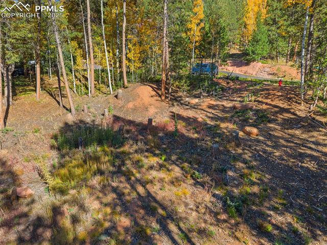1320 Forest Edge Rd, Woodland Park, CO 80863 | Estately 🧡 | MLS# 9177549