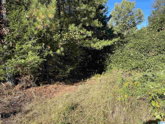 1981 MOUNT VIEW Rd #0, WELLINGTON, AL 36279 | Estately 🧡 | MLS# 1335443