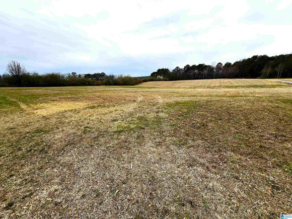 0 COUNTY Rd 1435 #Acreage, CULLMAN, AL 35058 | Estately 🧡 | MLS# 21378457