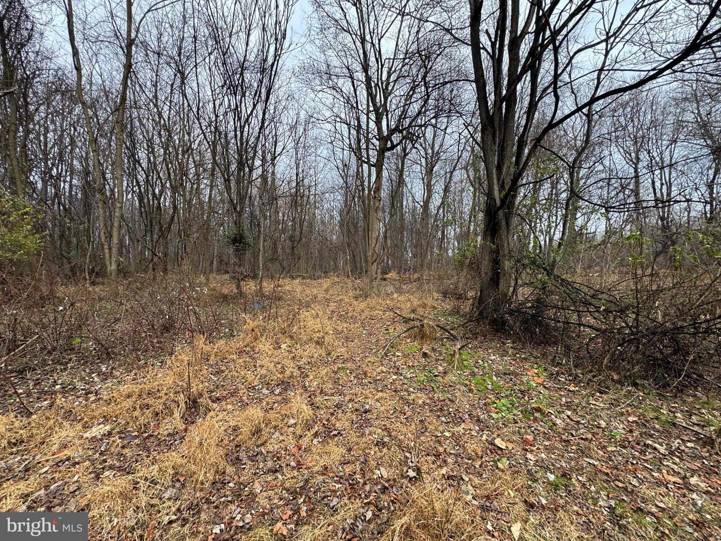 Peach Tree Rd, DICKERSON, MD 20842 | Estately 🧡 | MLS# MDMC2210762