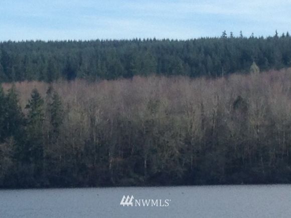 75 X Crocker Lake Rd, Quilcene, WA 98376 | Estately 🧡 | MLS# 1720619