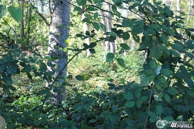 98225, WA zip code Real Estate & Homes for Sale - Estately