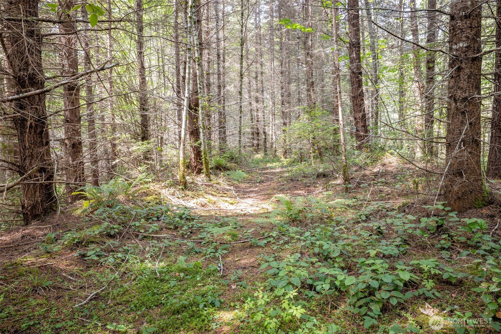 101 Wild Blackberry Ln, Port Angeles, WA 98363 | Estately 🧡 | MLS# 2419162