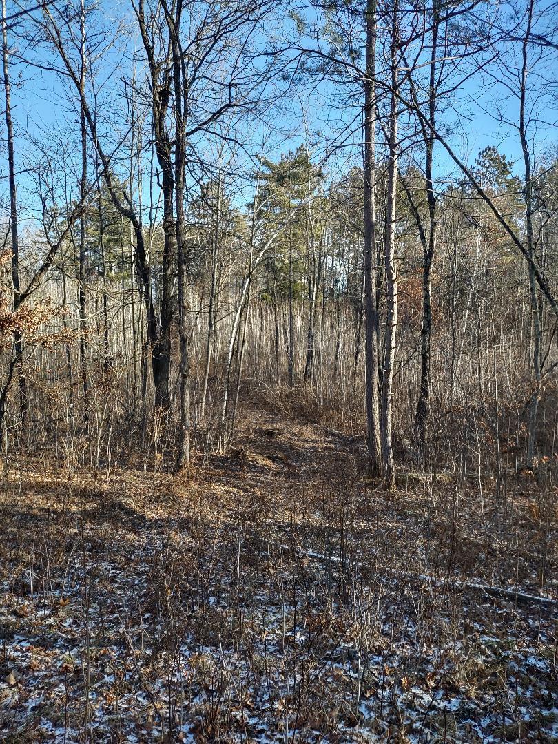 Xxx Pretty Rd, Springbrook, WI 54875 | Estately 🧡 | MLS# 6471211