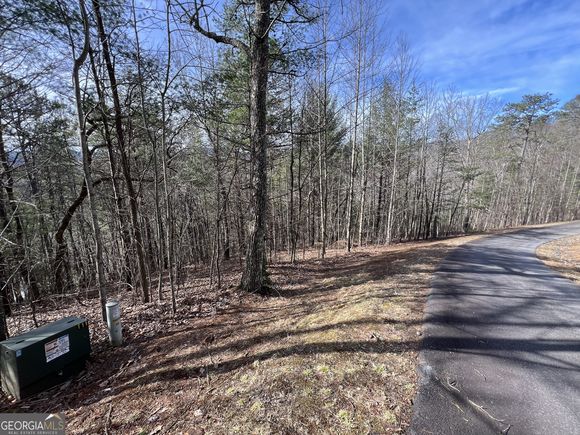 0217ac Lot 11 Choestoe Trl, Blairsville, GA 30512 | Estately 🧡 | MLS ...