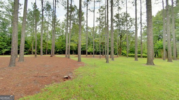 757 Dickey Ferry Ln, Cairo, GA 39828 | Estately 🧡 | MLS# 10331023