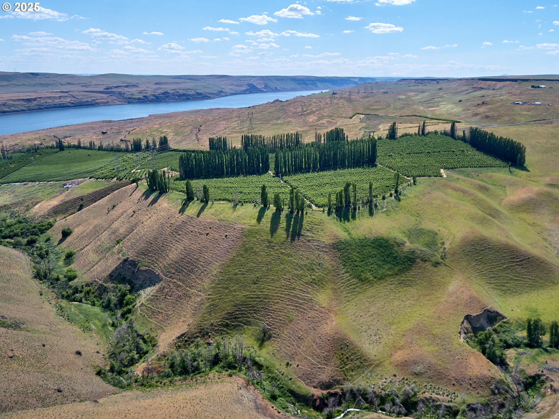 17 Sundale Dr, Roosevelt, WA 99356 | Estately 🧡 | MLS# 738794345