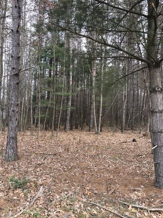 11899 Spencer Rd, Sumner, MI 48889 | Estately 🧡 | MLS# 23011977