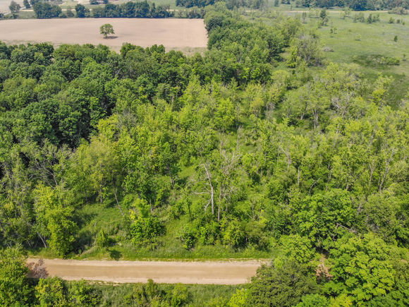 11 Acres E Pq Ave, Climax, MI 49034 | Estately 🧡 | MLS# 23020014