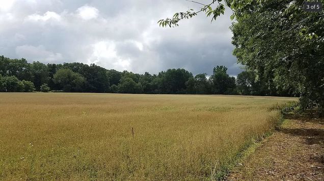 7255 Ramsdell Dr NE, Rockford, MI 49341 | Estately 🧡 | MLS# 24003153