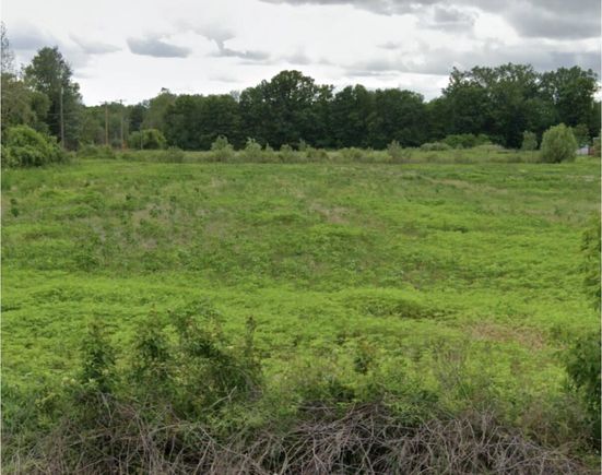 Lot 1 Macey Rd, Willis, MI 48191 | Estately 🧡 | MLS# 25058933