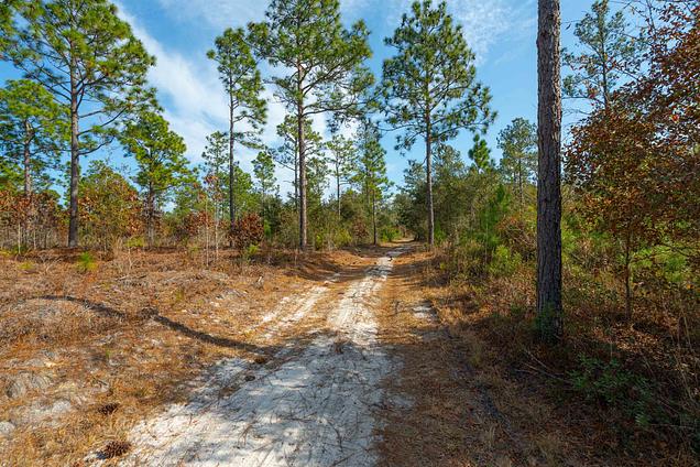 3 Old Town Ave, Georgetown, SC 29440 | Estately 🧡 | MLS# 2600944