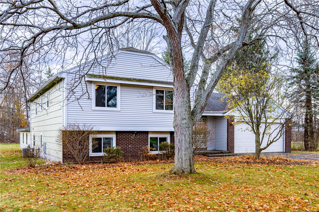 207 Darla Dr, Clarkson, NY 14420 | Estately 🧡 | MLS# R1651410