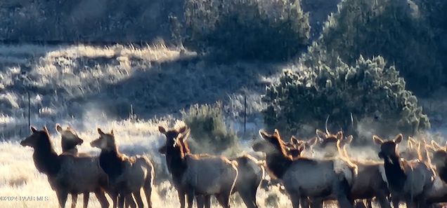 194 Westwood Ranch, Ash Fork, AZ 86320 | Estately 🧡 | MLS# 1064048