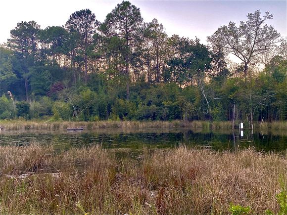 Xxx Sandy Ramp Rd, DeFuniak Springs, FL 32433 | Estately 🧡 | MLS# 857072