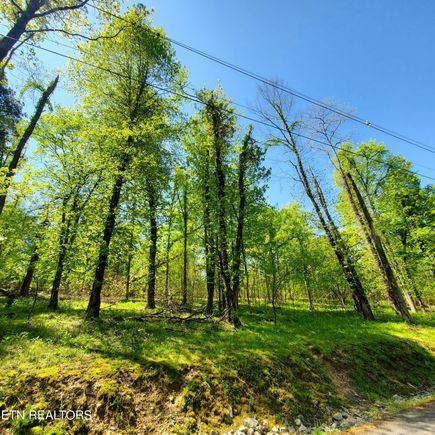 1603 Sequoyah Dr, Mooresburg, TN 37811 | Estately 🧡 | MLS# 1307054