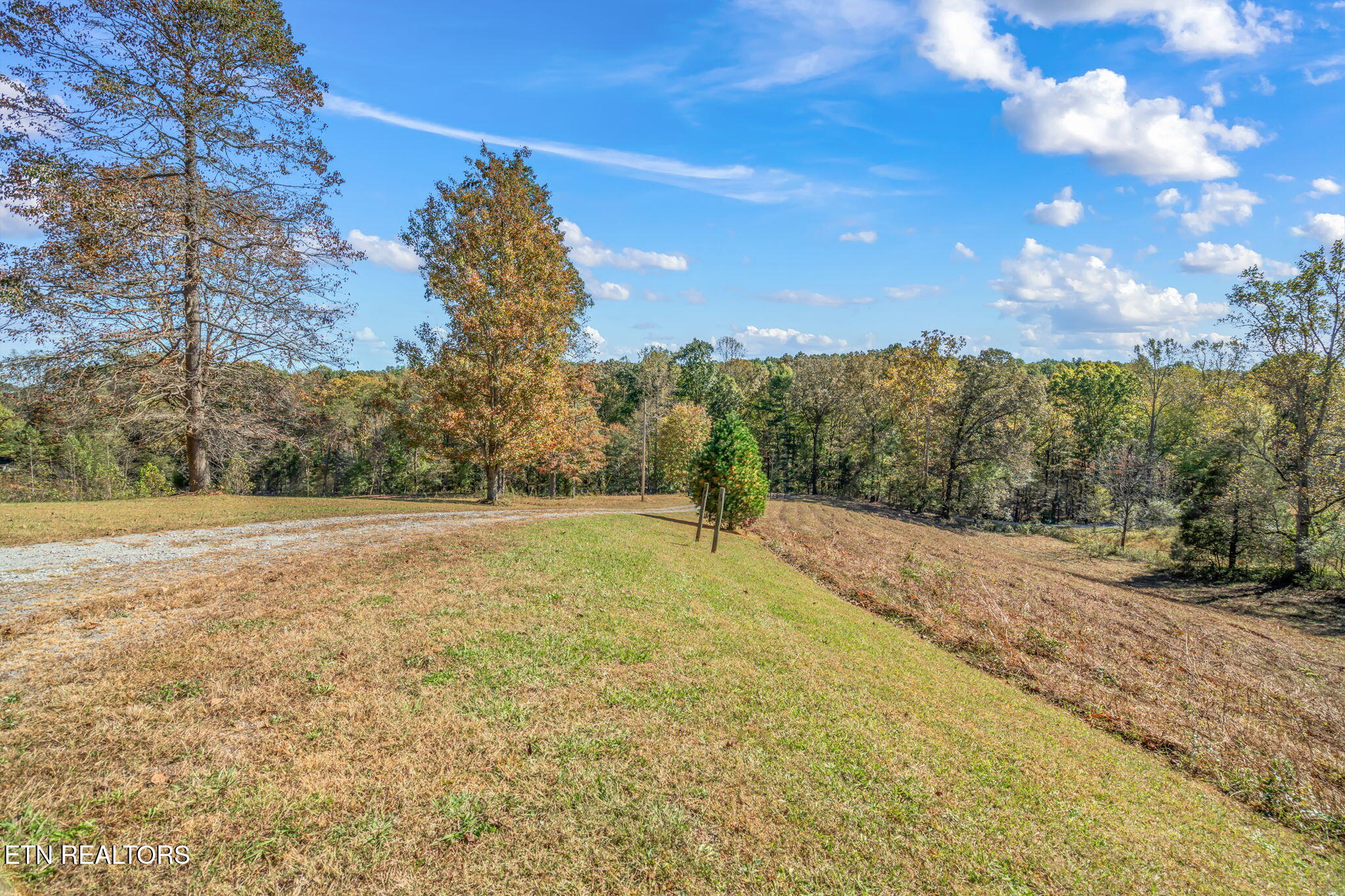 1347 Cawood Rd, Spring City, TN 37381 | Estately 🧡 | MLS# 1320404