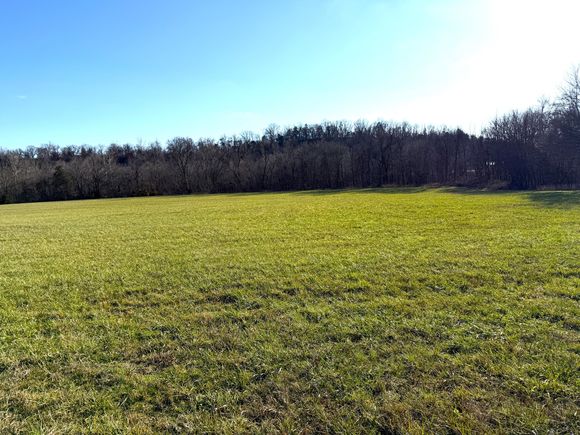 000 Mikes Creek Rd W 157 Acres, Powell, MO 65730 | Estately 🧡 | MLS ...