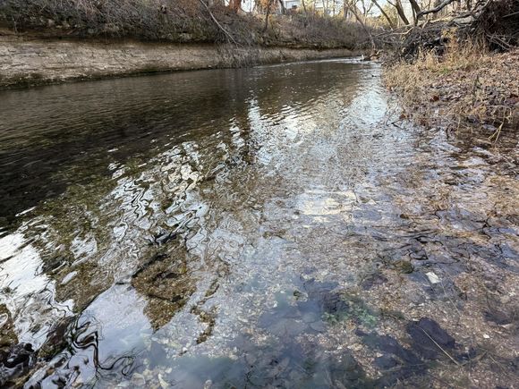 000 Mikes Creek Rd W 157 Acres, Powell, MO 65730 | Estately 🧡 | MLS ...