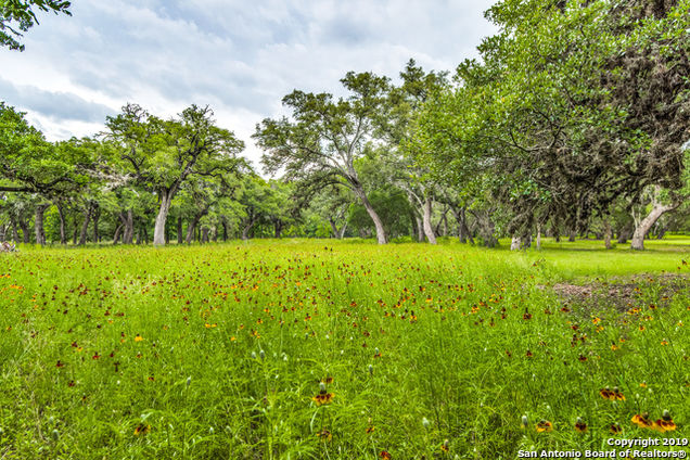 451 Canyon Forest, Helotes, TX 78023 | Estately 🧡 | MLS# 1387870