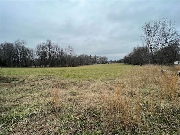 0 Mack Lineberry Rd, Climax, NC 27233 | Estately 🧡 | MLS# 1095293