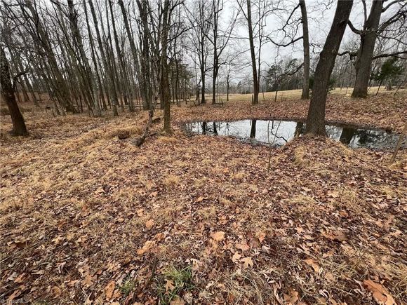 0 Mack Lineberry Rd, Climax, NC 27233 | Estately 🧡 | MLS# 1095293