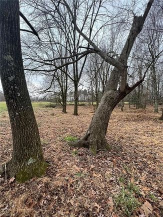 0 Mack Lineberry Rd, Climax, NC 27233 | Estately 🧡 | MLS# 1095293