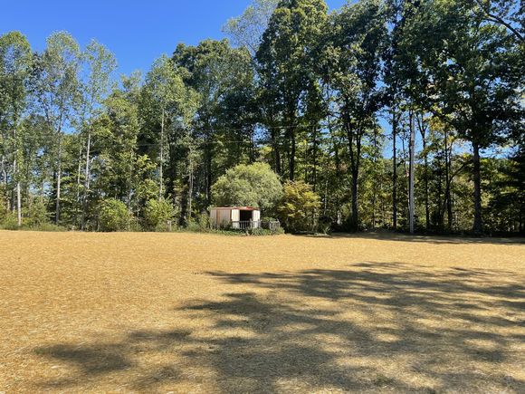 245 Magnolia Dr, Red Boiling Springs, TN 37150 | Estately 🧡 | MLS# 2443235