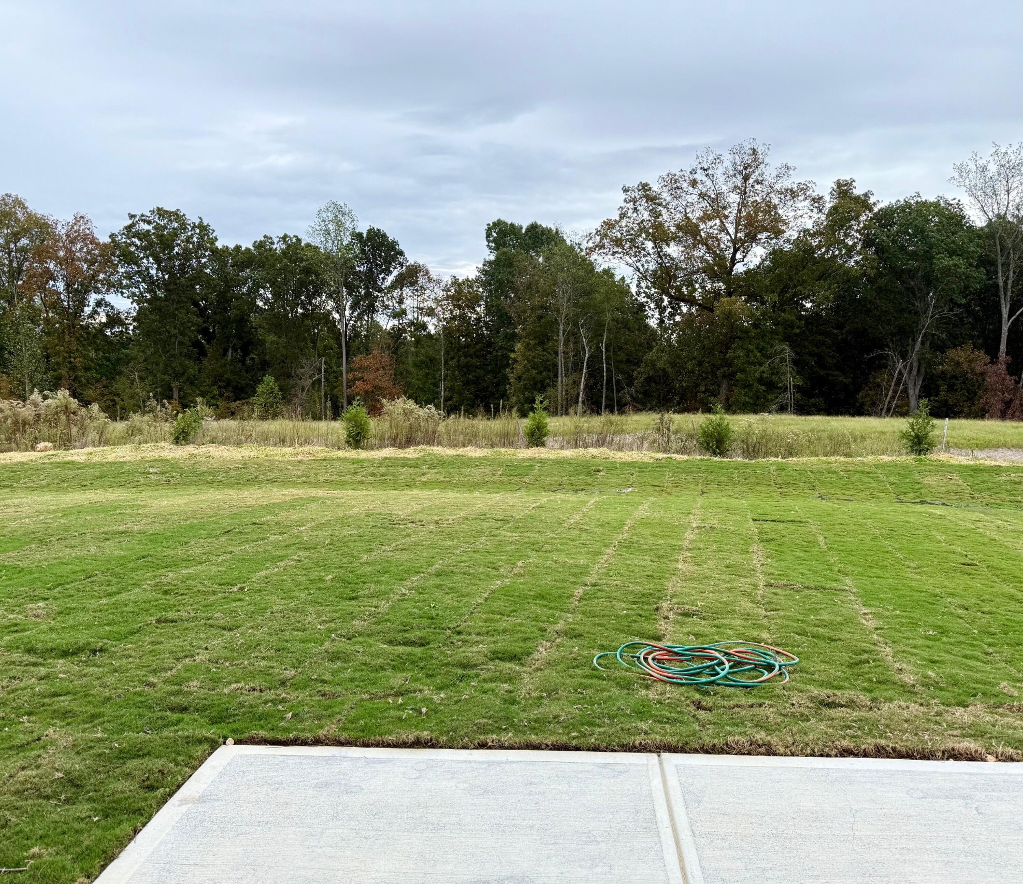 5150 Skyline Way NE, Cleveland, TN 37312 | Estately 🧡 | MLS# 3013049