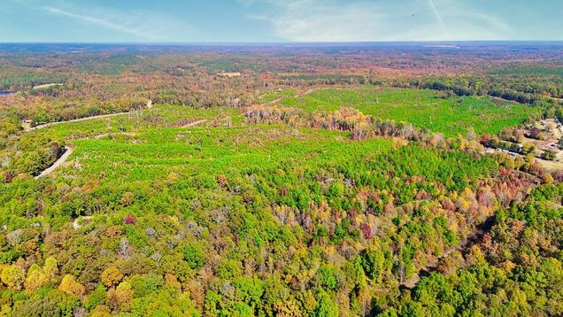 13 Bowden Ln, Middleton, TN 38052 | Estately 🧡 | MLS# 10204644